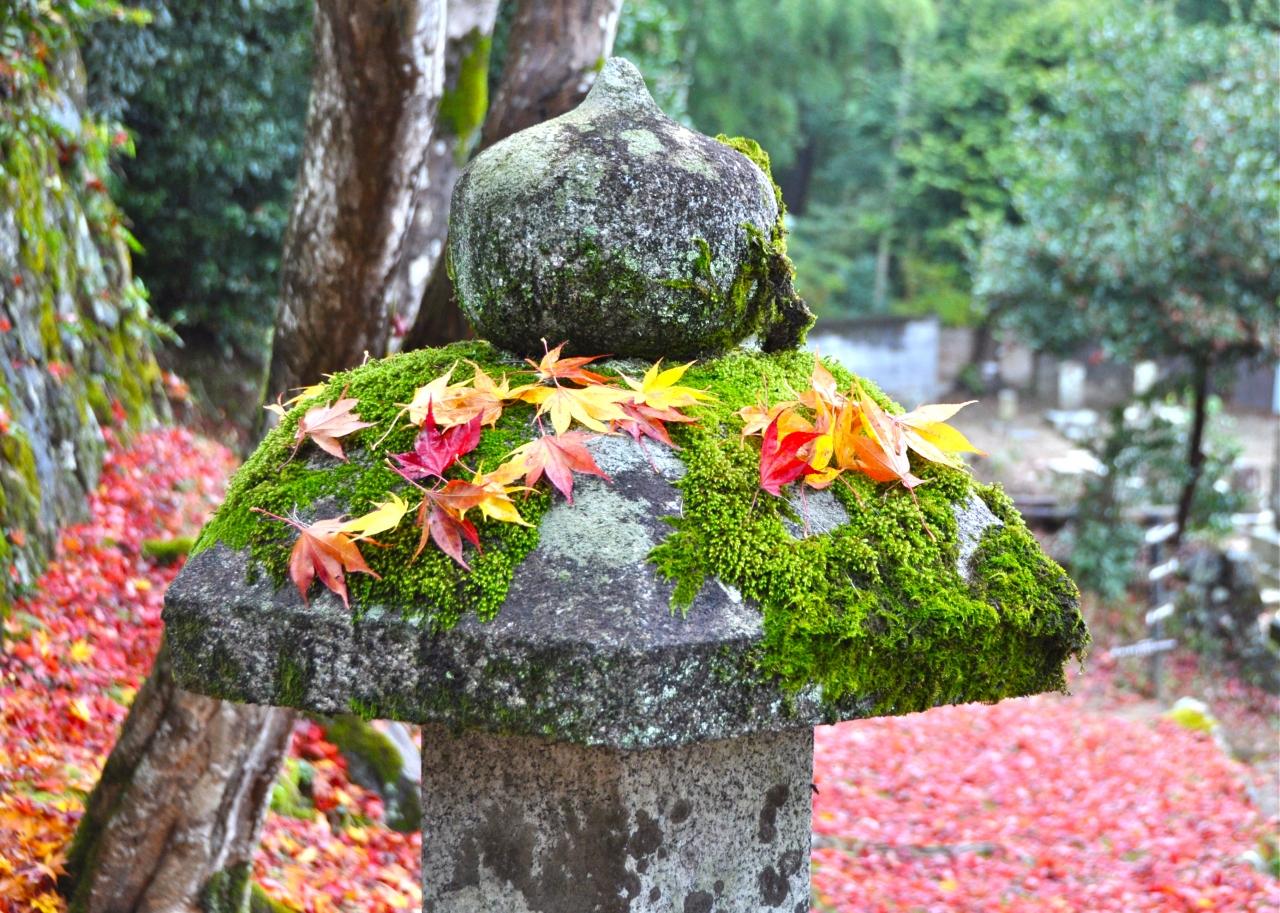 『しょーきちさん 紅葉をめでる (1) 京の嵐山・嵯峨野を行く』嵐山・嵯峨野・太秦・桂(京都)の旅行記・ブログ by しょーきちさん【フォートラベル】