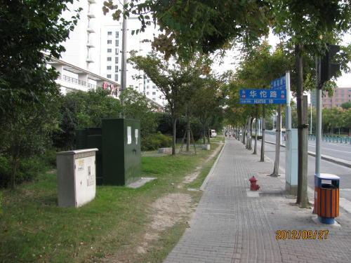 『上海の科苑路・プラタナス並木路』上海(中国)の旅行記・ブログ by 中国の風景さん【フォートラベル】