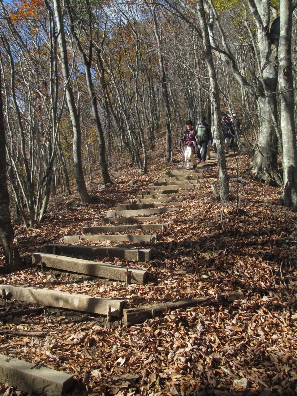 『ハイキング倶楽部 第6回 都民の森・三頭山 Hiking in Tominnomori/Mt. Mito』奥多摩(東京)の旅行記・ブログ ...