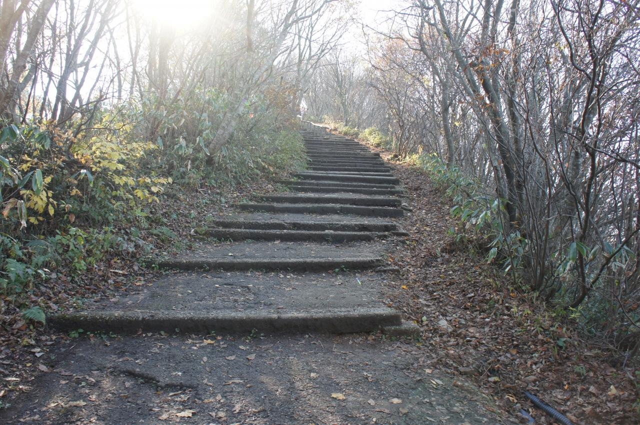 『弥彦神社の菊祭りと弥彦山絶景の旅』弥彦(新潟県)の旅行記・ブログ by たびたびさん【フォートラベル】