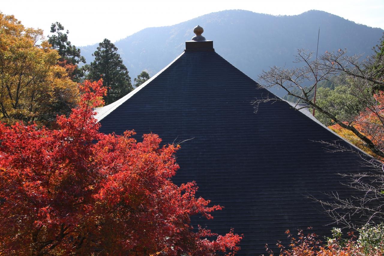 『秋の京都へ・鞍馬、貴船編』八瀬・大原・貴船・鞍馬(京都)の旅行記・ブログ by konchanさん【フォートラベル】