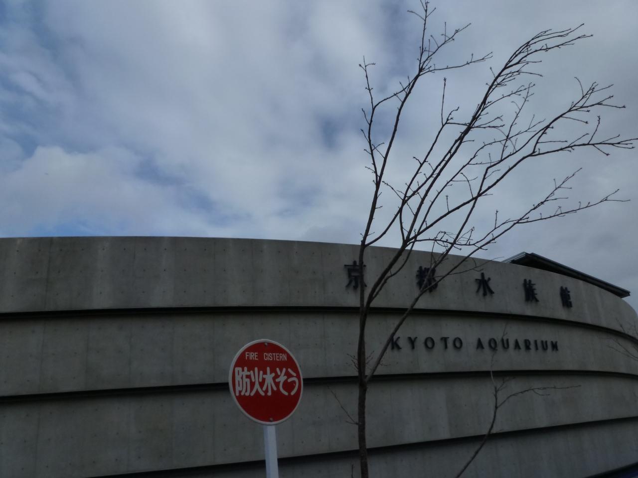 『京都駅集合！京都水族館で遊び、半兵衛麩でお昼ご飯、長楽館カフェでお喋り♪』京都駅周辺(京都)の旅行記・ブログ by bettyさん【フォートラベル】