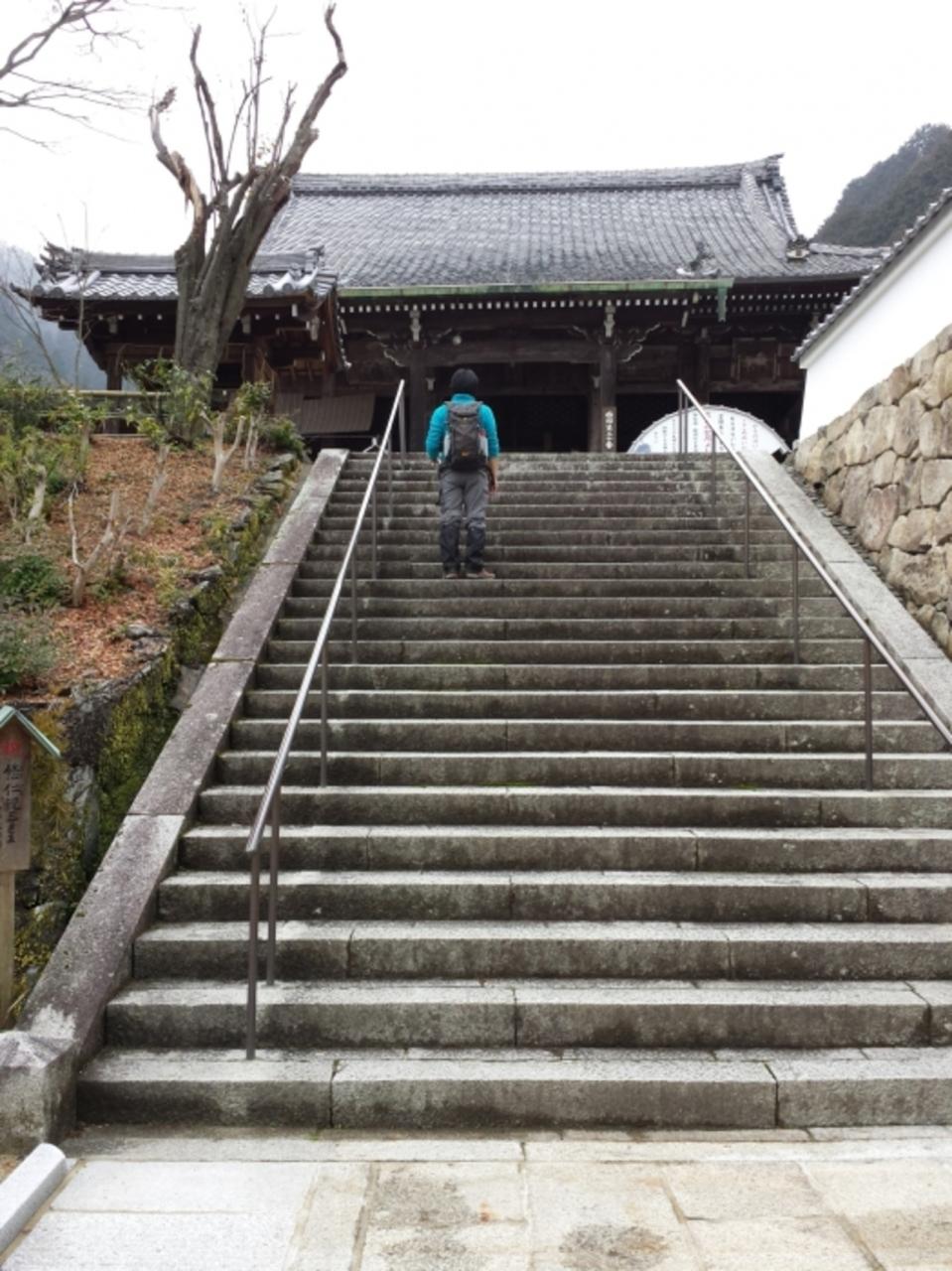 『ポンポン山～京都西山 善峯寺』高槻・島本(大阪)の旅行記・ブログ by dasmeerさん【フォートラベル】