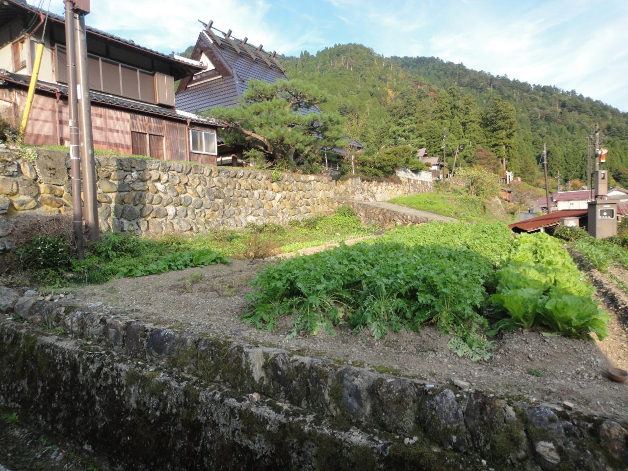 『かやぶきの里』京丹波・園部(京都)の旅行記・ブログ by big smileさん【フォートラベル】