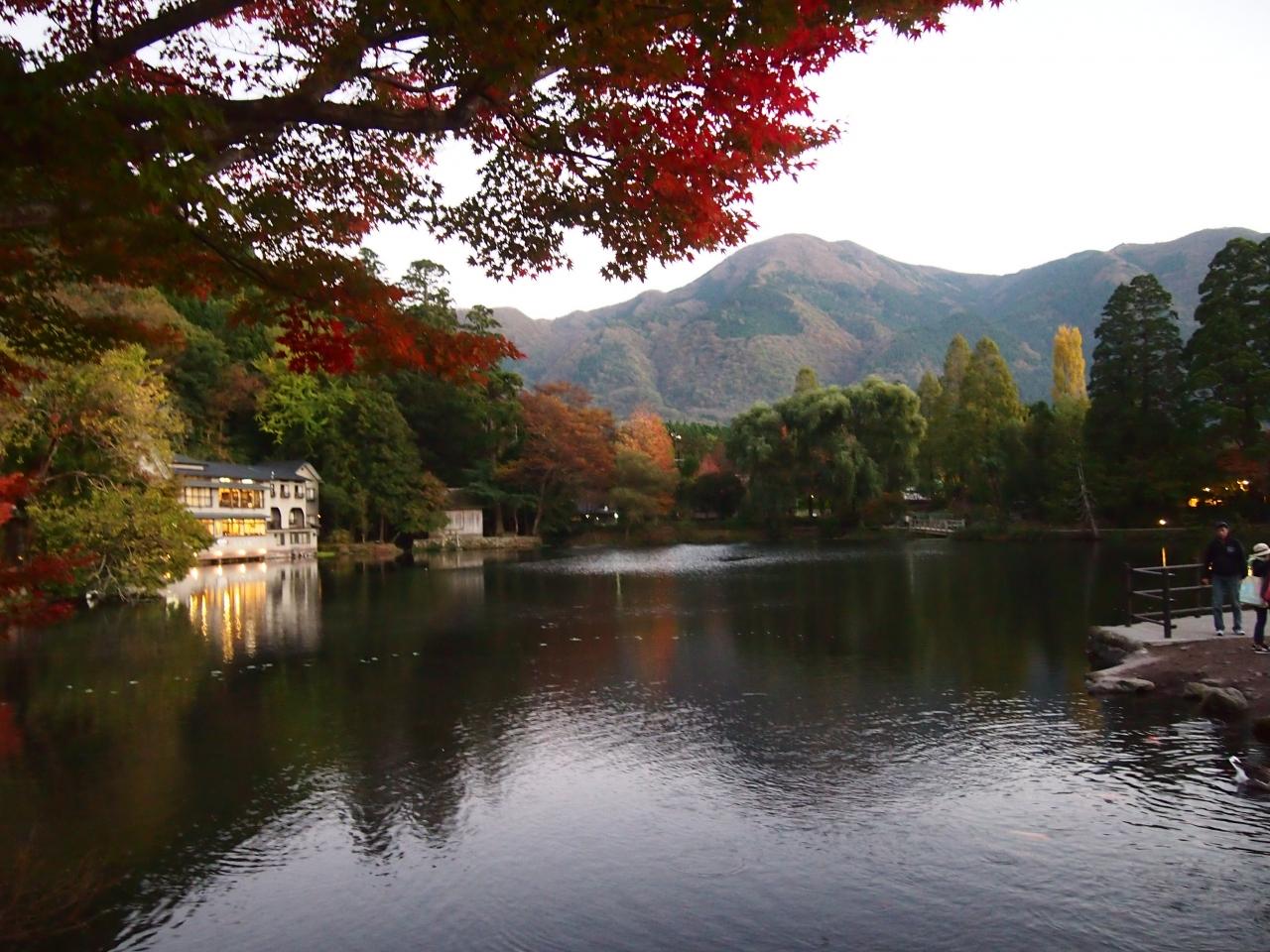 『久し振りの九州自然道 長者原タデ原湿原～雨ヶ池～湯布院金鱗湖編』湯布院・由布院温泉(大分県)の旅行記・ブログ by nadeshiko28 ...