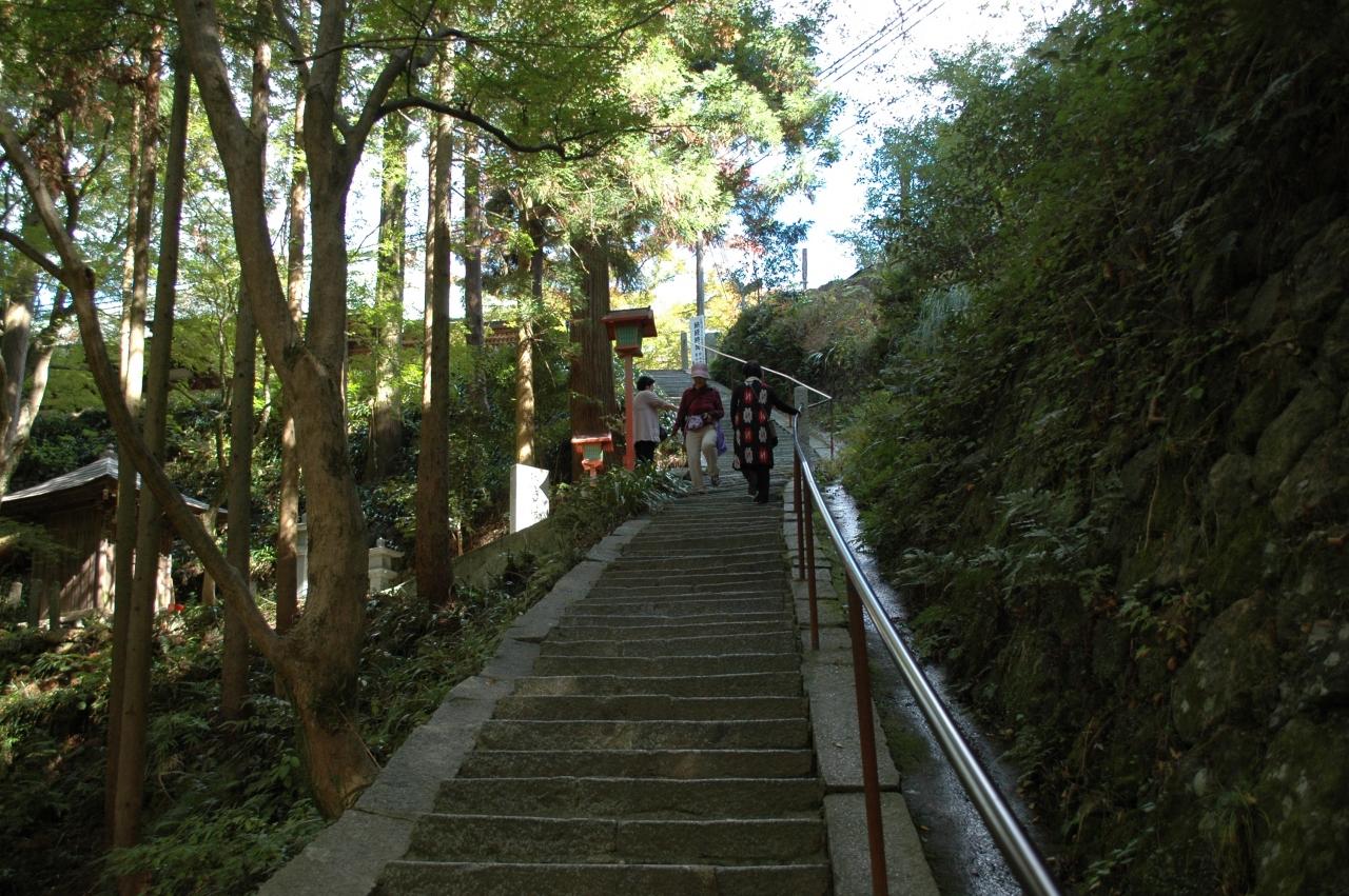 『紅葉の槇尾山』和泉・泉大津(大阪)の旅行記・ブログ by ヨット風来坊さん【フォートラベル】