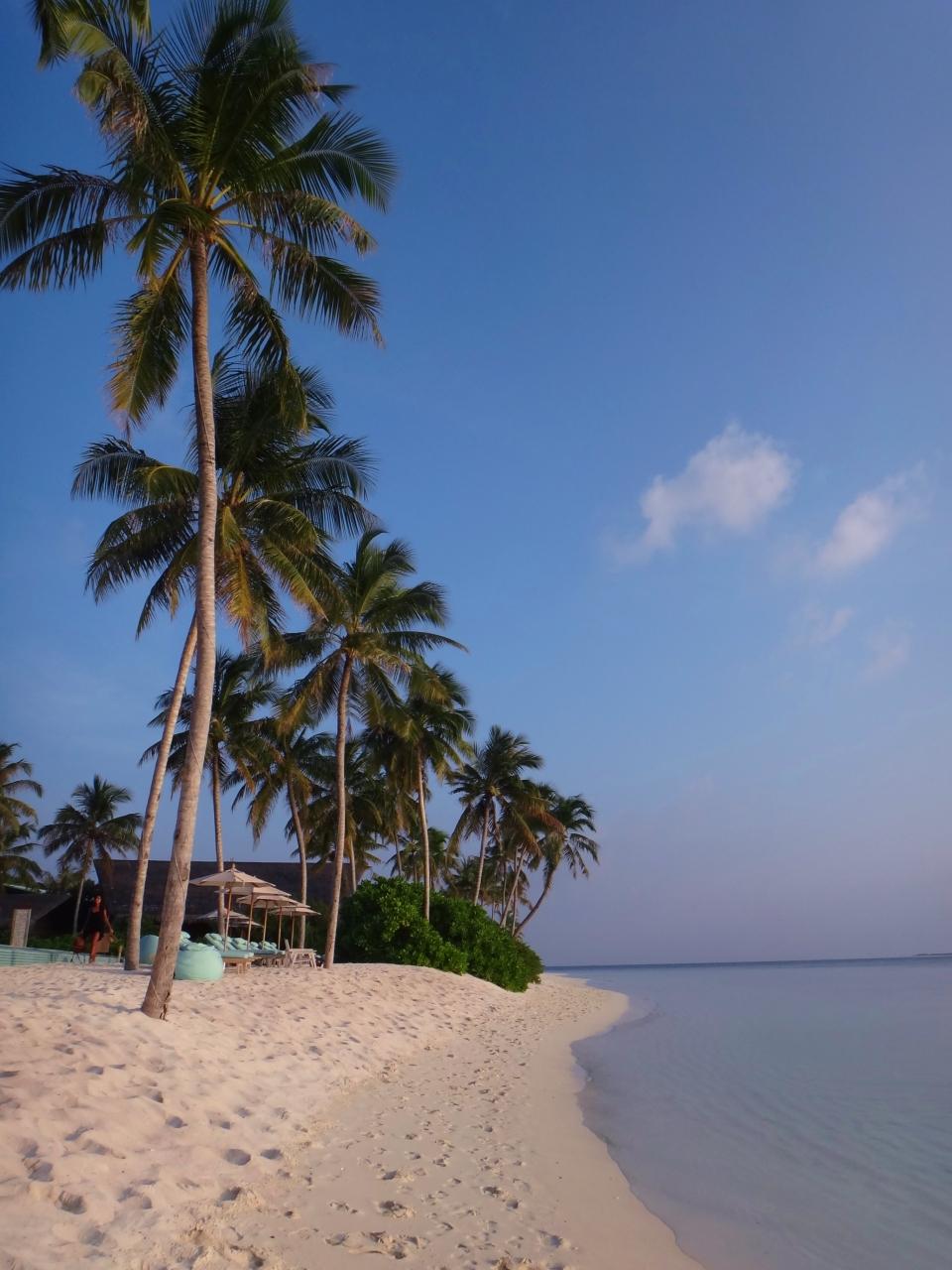 『家族旅行@モルディブ 2016冬休み①』ラア環礁(モルディブ)の旅行記・ブログ by cotoさん【フォートラベル】