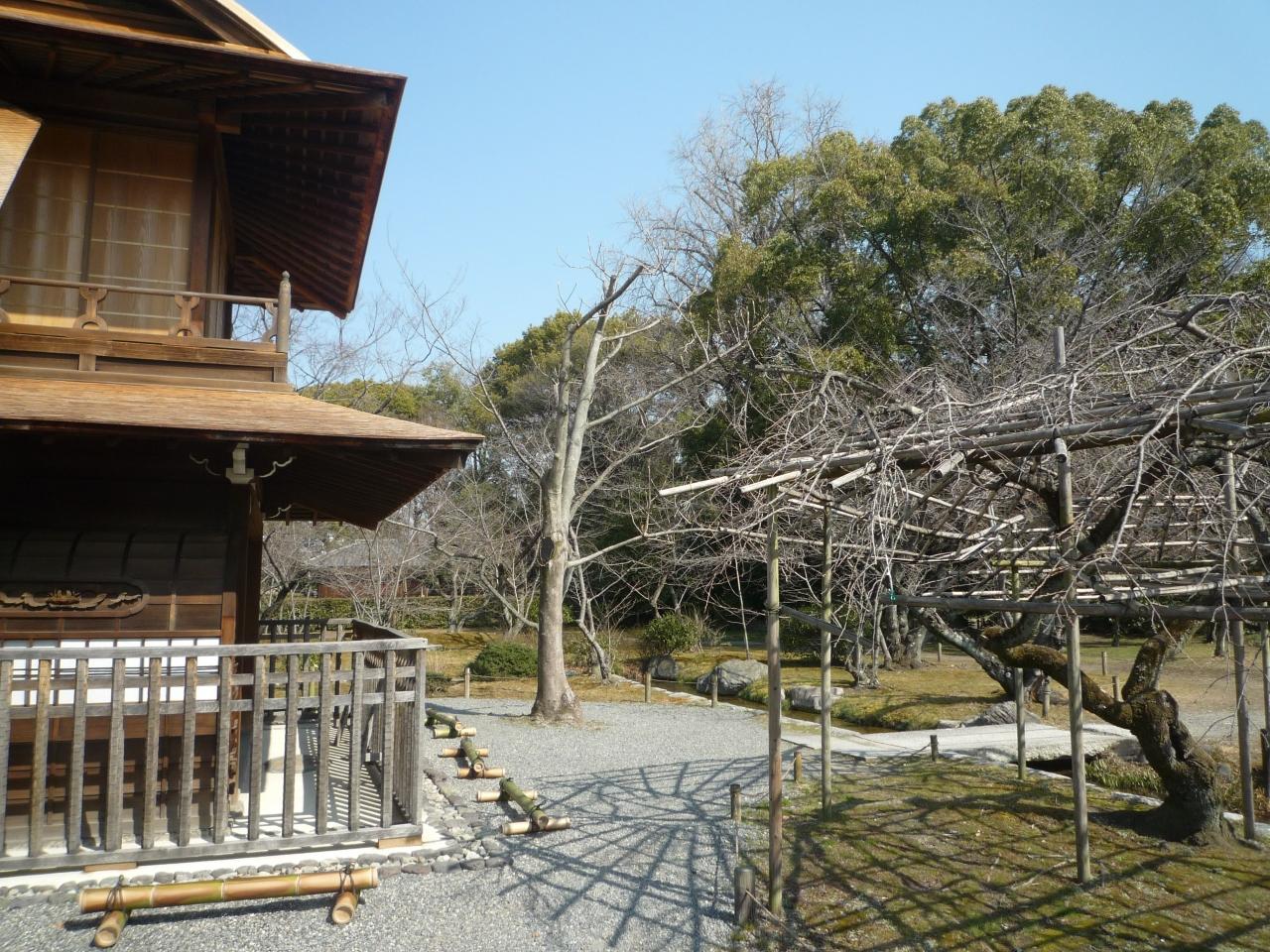 『阿蘇美忍、1年ぶりの京都旅：三日目編♪（^。^；』京都の旅行記・ブログ by 阿蘇美忍さん【フォートラベル】