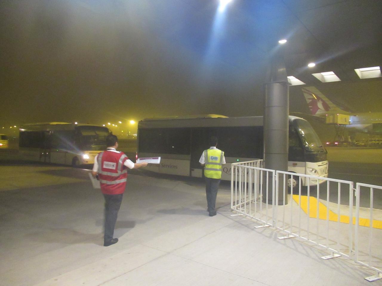 『カタール航空 A320-200 リージョナル・ファーストクラス搭乗記・ドーハ-カイロ(QR1305) + 1日乗り継ぎでギザのピラミッド見学 ...