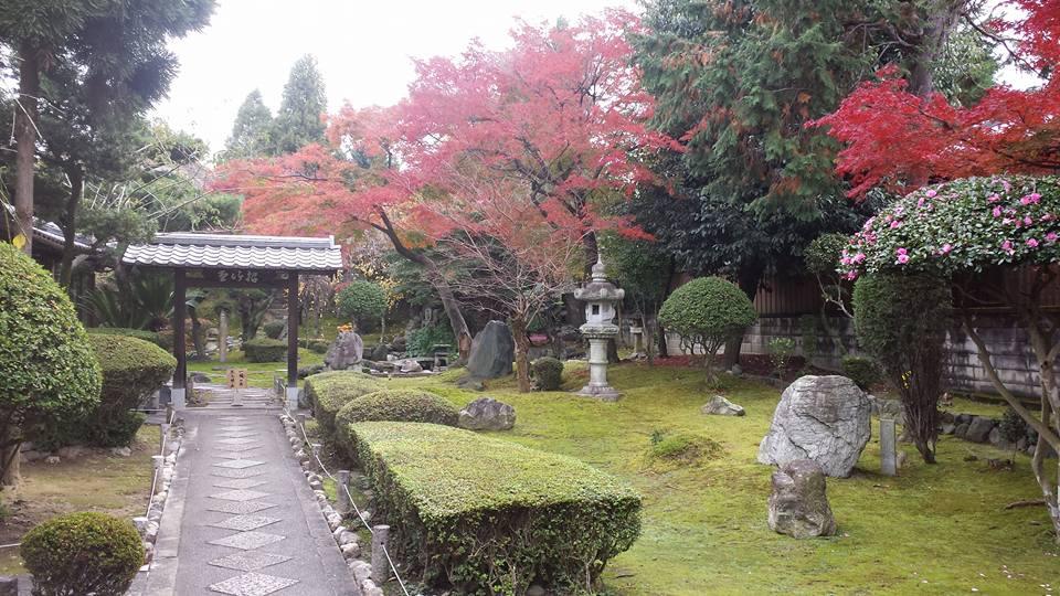 『錦秋の京都』京都の旅行記・ブログ by ミッチーさん【フォートラベル】