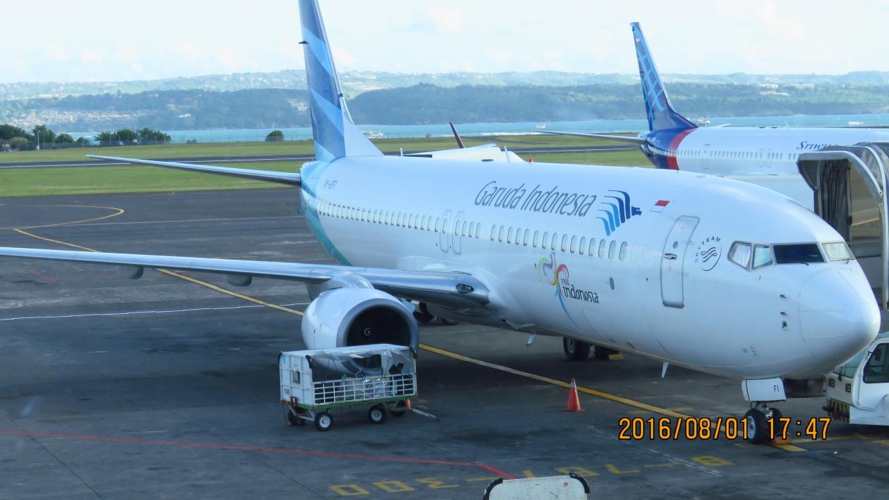 『NH855 インドネシア国内線 NH856搭乗記』バリ島(インドネシア)の旅行記・ブログ by 旅行好きな人さん【フォートラベル】