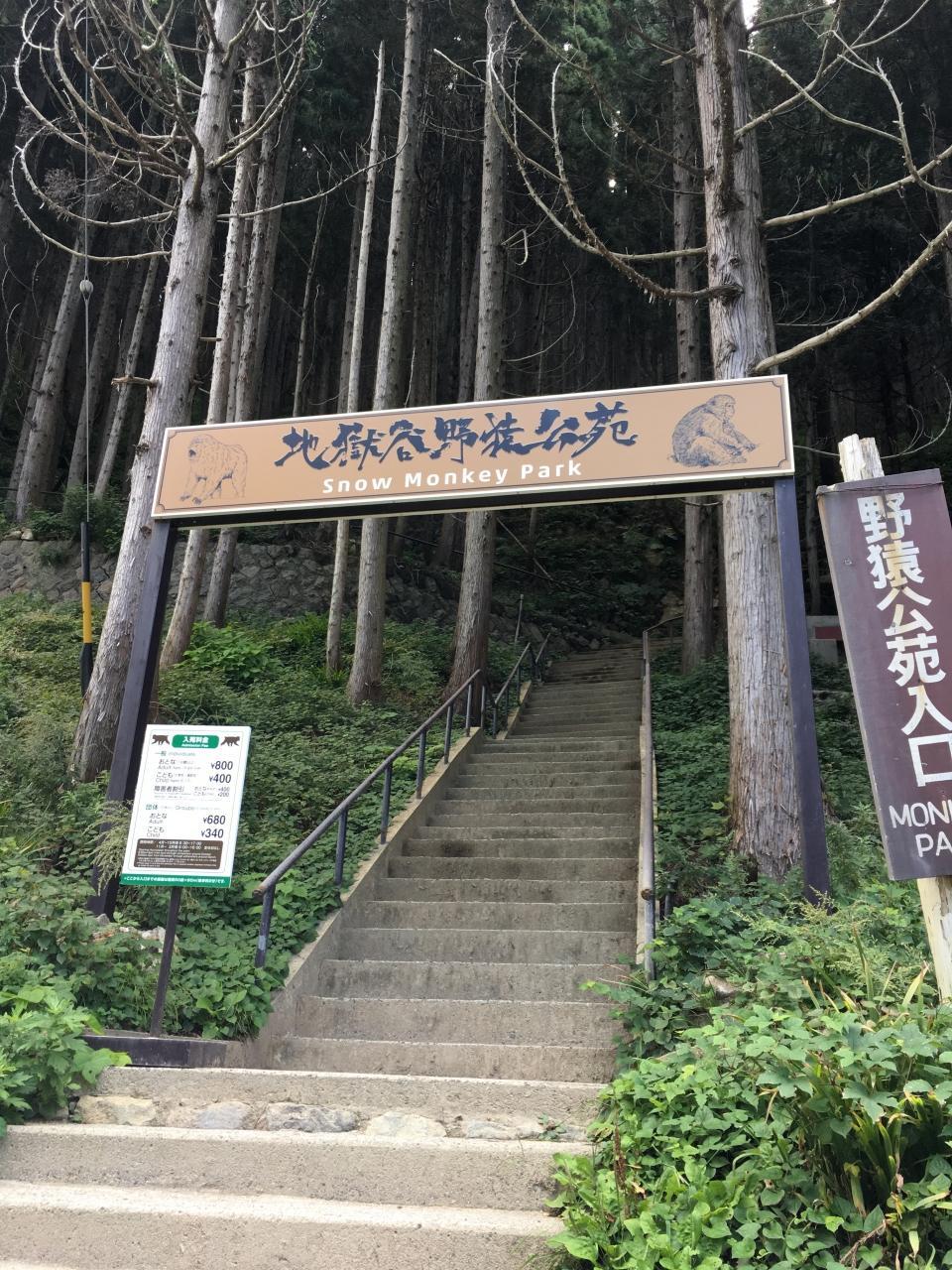 『万座温泉～地獄谷野猿公苑～湯田中温泉』長野県の旅行記・ブログ by JINちゃんさん【フォートラベル】