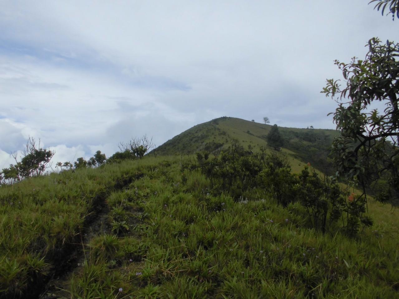 『タンザニア滞在記44（ムベヤ：タンザニア第3位「MOUNT RUNGWE 2981m」登頂編）』その他の観光地(タンザニア)の旅行記・ブログ ...