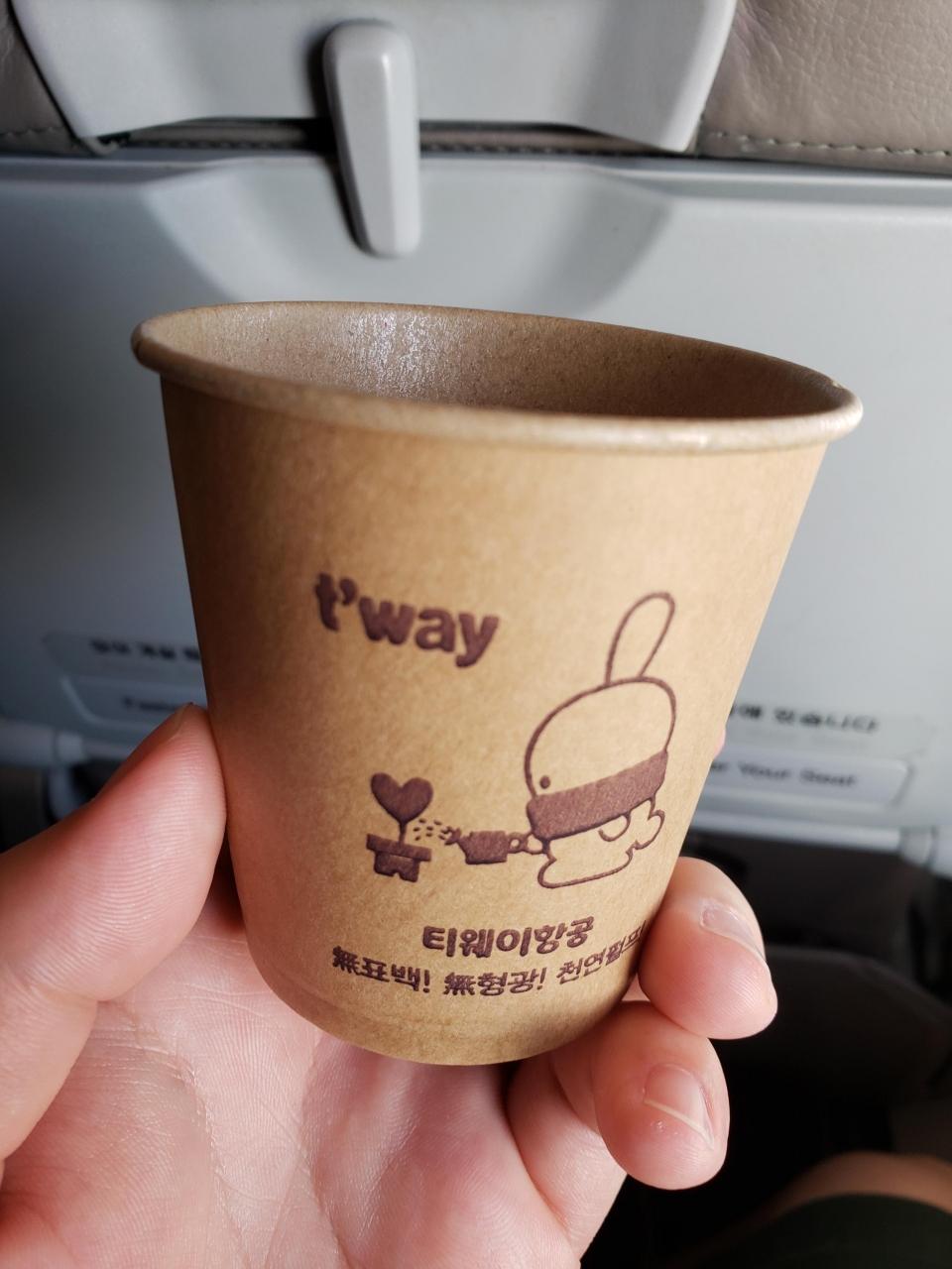 『Tway航空TW293便・TW292便搭乗記』ソウル(韓国)の旅行記・ブログ by マコトT.Aさん【フォートラベル】