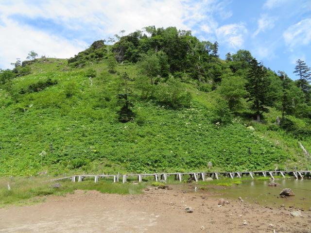 『丸沼高原から白根山・座禅山・弥陀が池周辺を歩きました』武尊・尾瀬・片品(群馬県)の旅行記・ブログ by タビガラスさん【フォートラベル】