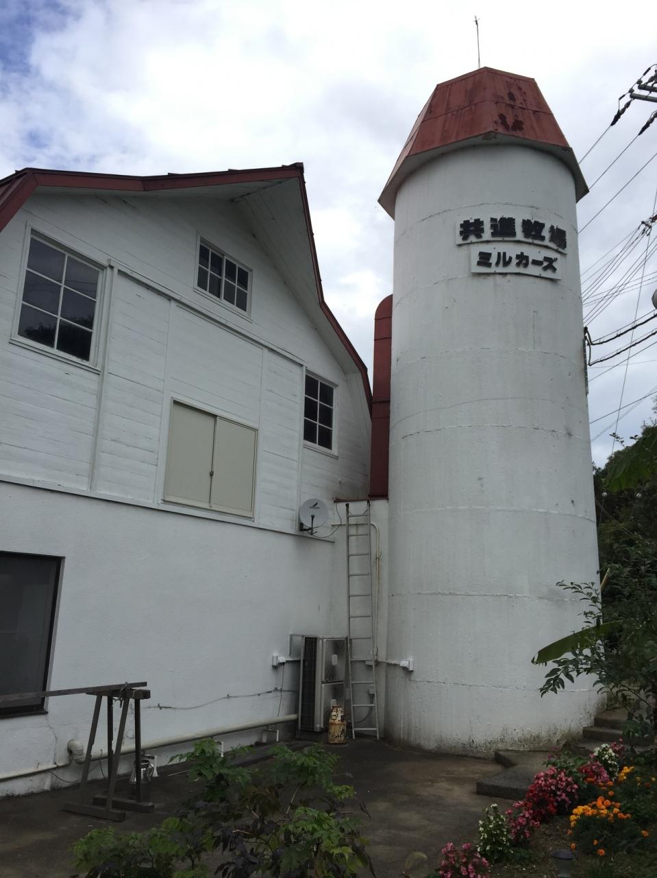 『秋らしい景色を求めて～砥峰高原～』兵庫県の旅行記・ブログ by こっちゃんさん【フォートラベル】