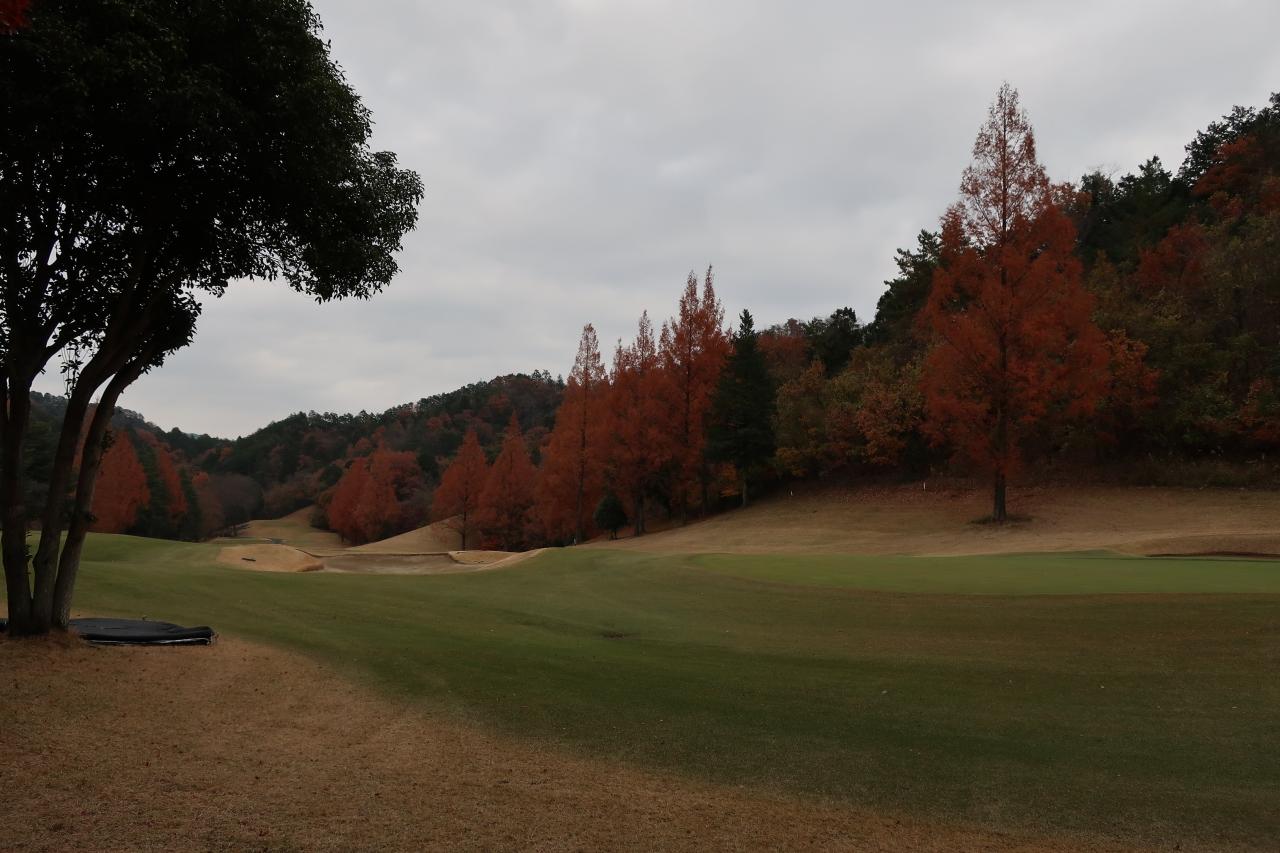 『寒空でも元気でGOLF/大厚木・皐月・鴨川・横浜/DEC.2019』厚木(神奈川県)の旅行記・ブログ by Rockyさん【フォートラベル】