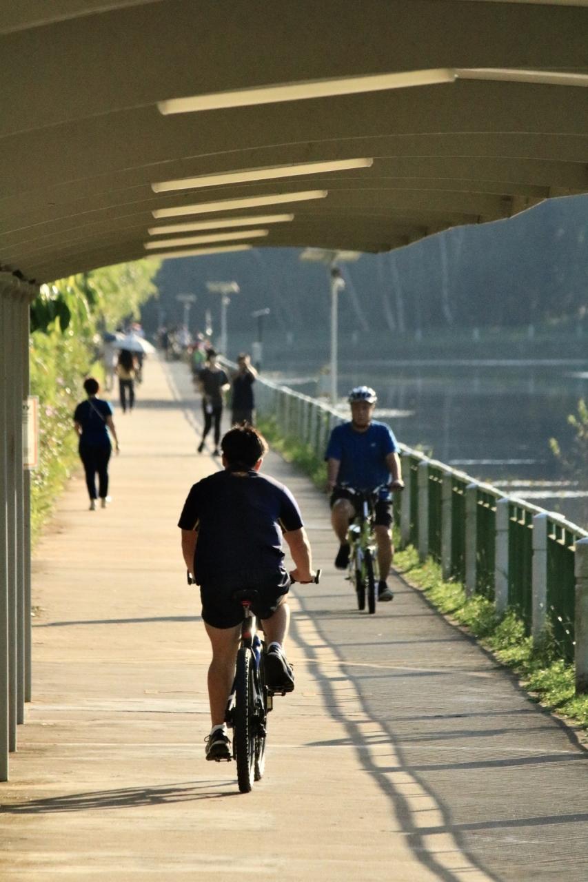 『Lower Seletar Reservoir→Springleaf parkお散歩』シンガポール(シンガポール)の旅行記・ブログ by ...
