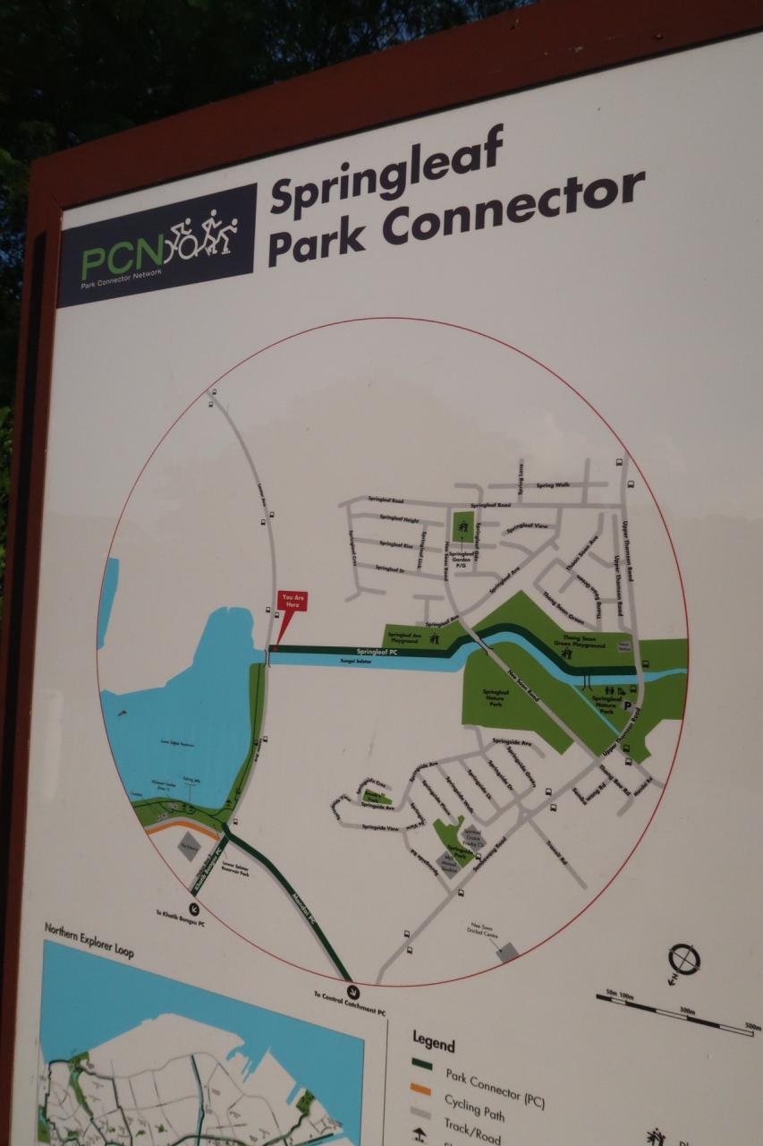 『Lower Seletar Reservoir→Springleaf parkお散歩』シンガポール(シンガポール)の旅行記・ブログ by ...