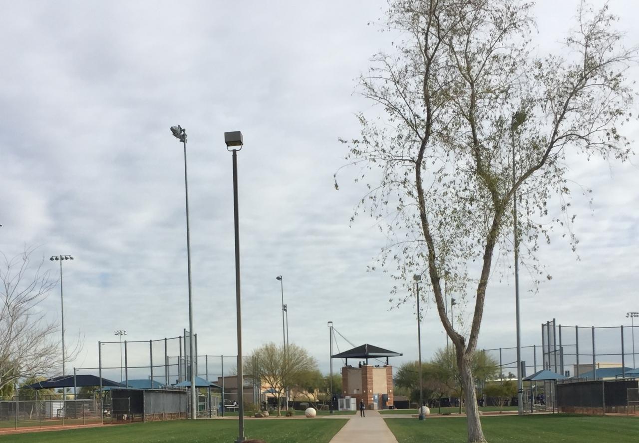 『アリゾナ州 ピオリア － 大谷翔平選手も紅白戦を終えて目の前を移動』フェニックス(アメリカ)の旅行記・ブログ by アメリカ制覇！さん ...