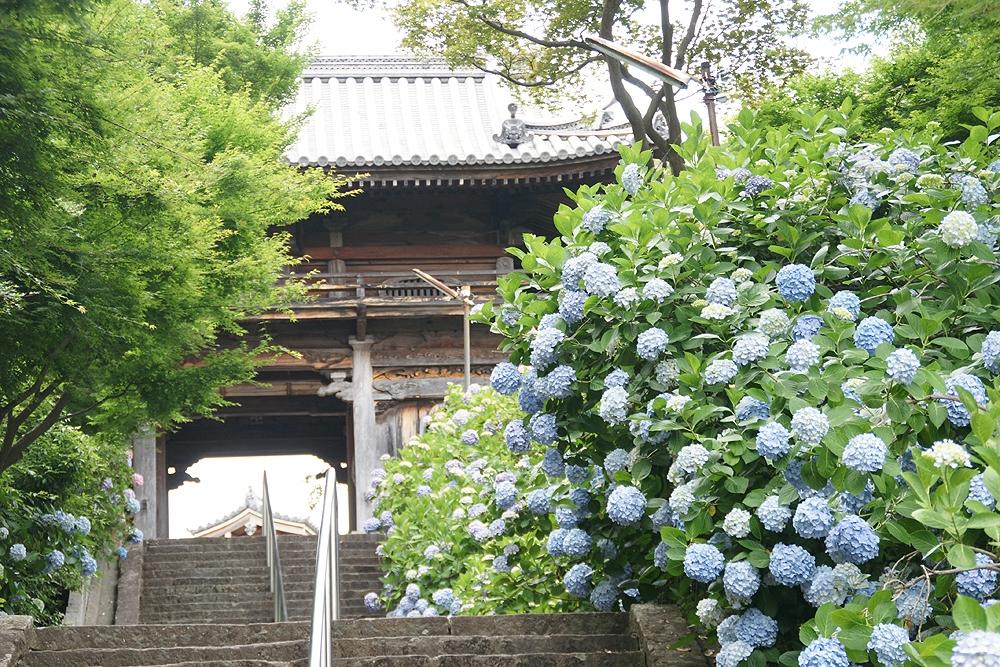 『My Favorite JR/阪和線～大阪～ ・JR/羽衣線・JR/関西空港線 VOL.1』大阪の旅行記・ブログ by ろくおさん【フォートラベル】