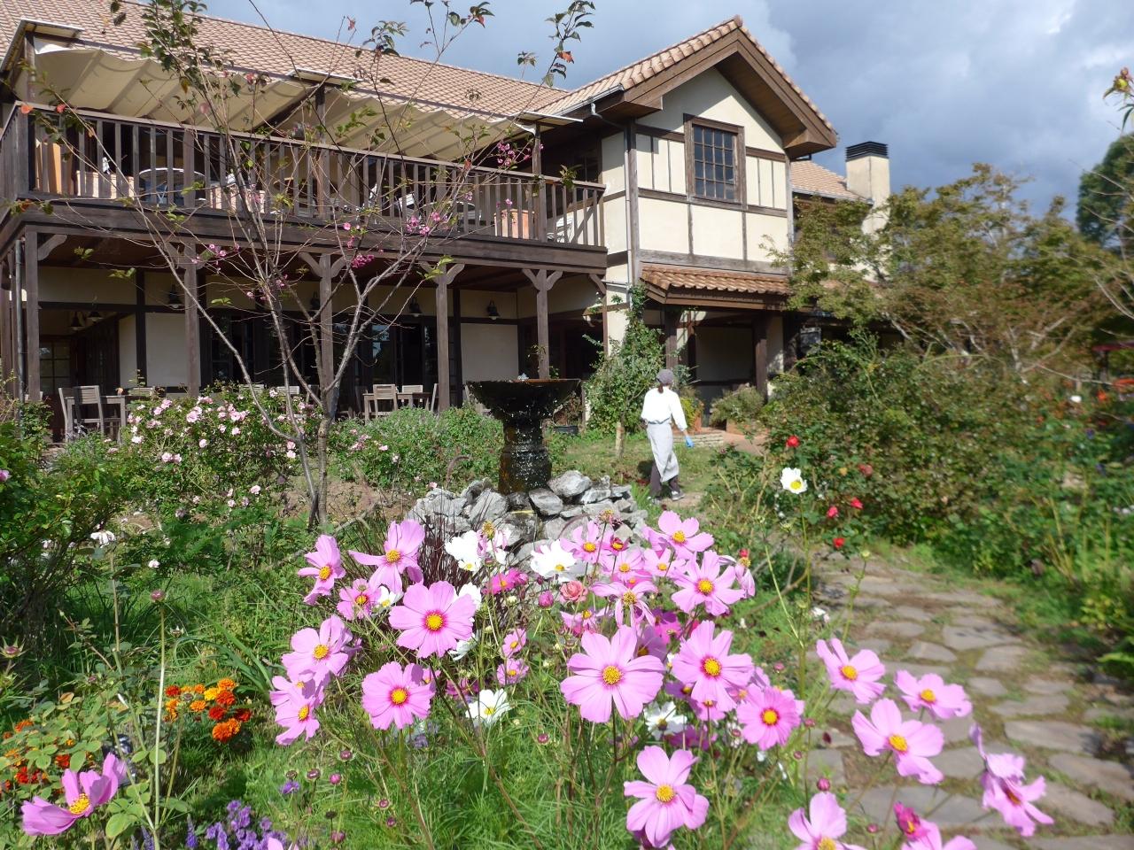 『大神ファームのバラ園を見てきました!(^0^)!』別府温泉(大分県)の旅行記・ブログ by SAKURAさん【フォートラベル】