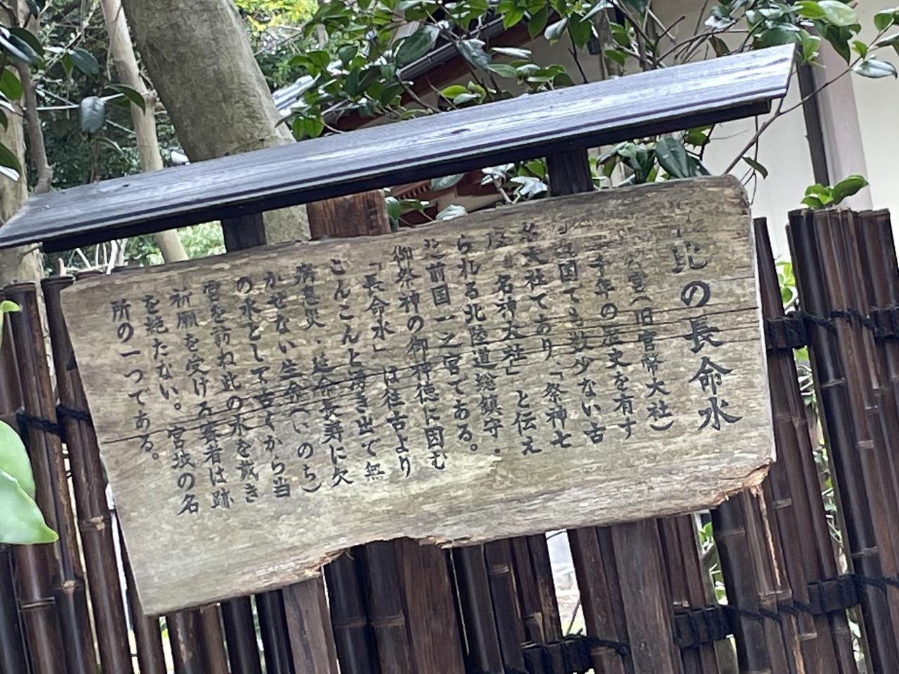 『福井敦賀てくてく旅行！…恐竜博士君も…ひとり旅編！』敦賀(福井県)の旅行記・ブログ by くうちゃんさん【フォートラベル】