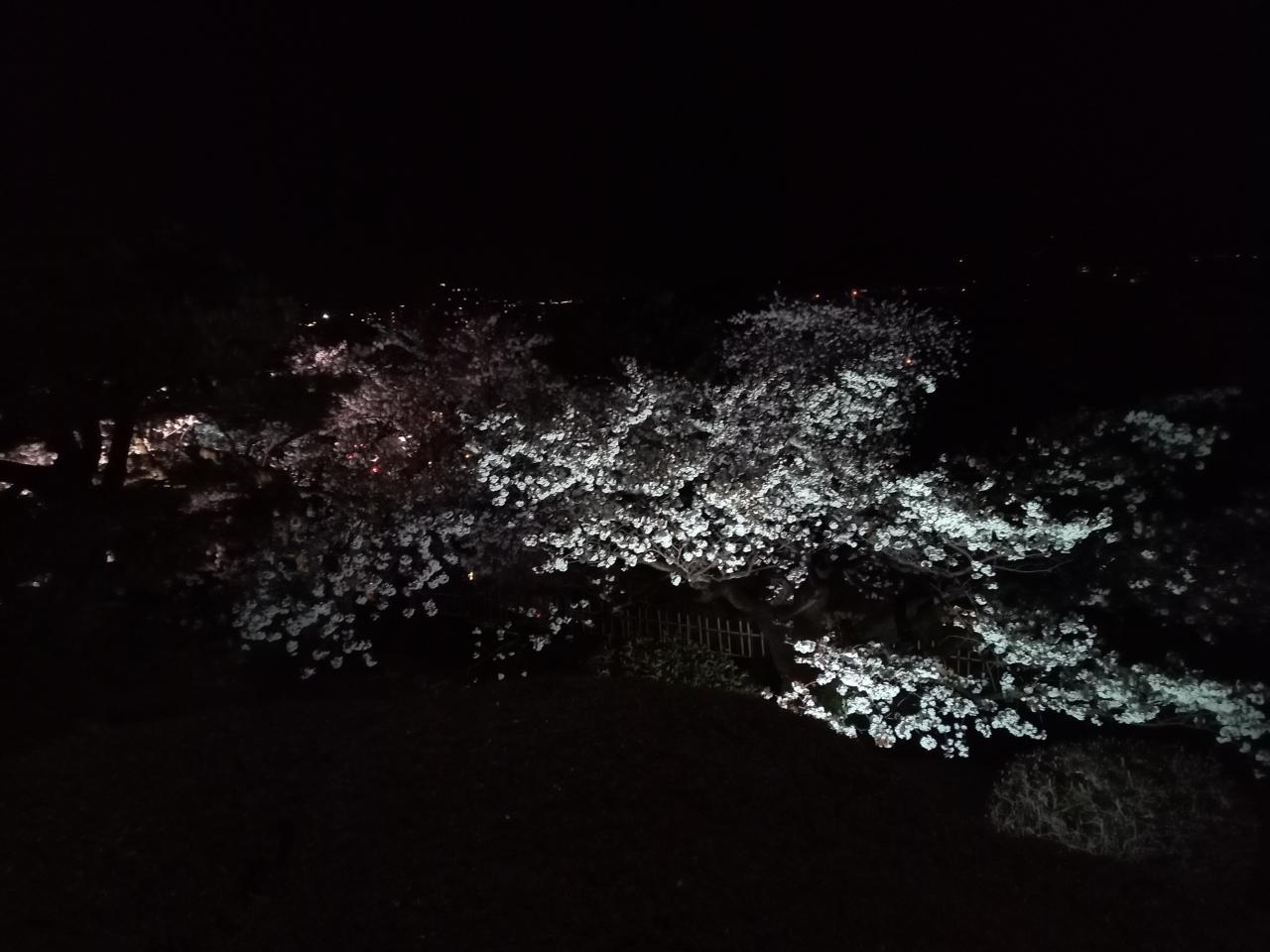 『北信越2023春旅行記 【13】兼六園＆金沢城1』金沢(石川県)の旅行記・ブログ by アイガーさん【フォートラベル】