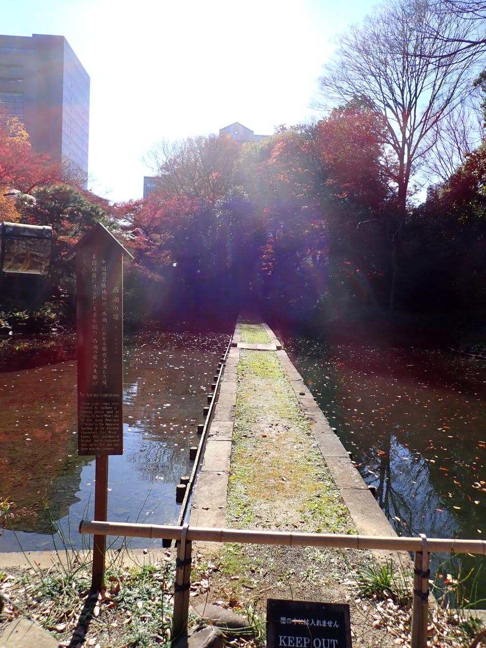 『都立庭園で紅葉2本立て』水道橋(東京)の旅行記・ブログ by payokoさん【フォートラベル】