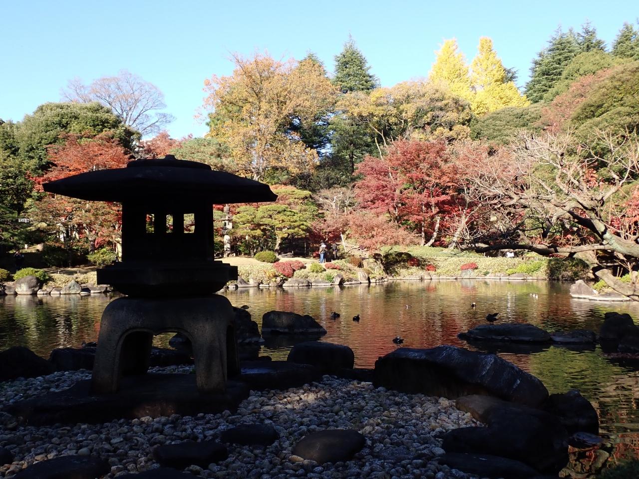『都立庭園で紅葉2本立て』水道橋(東京)の旅行記・ブログ by payokoさん【フォートラベル】