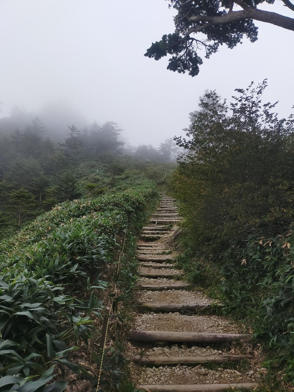 『長月 伊予 石槌山 9/8』西条・石鎚山(愛媛県)の旅行記・ブログ by ysika1534さん【フォートラベル】