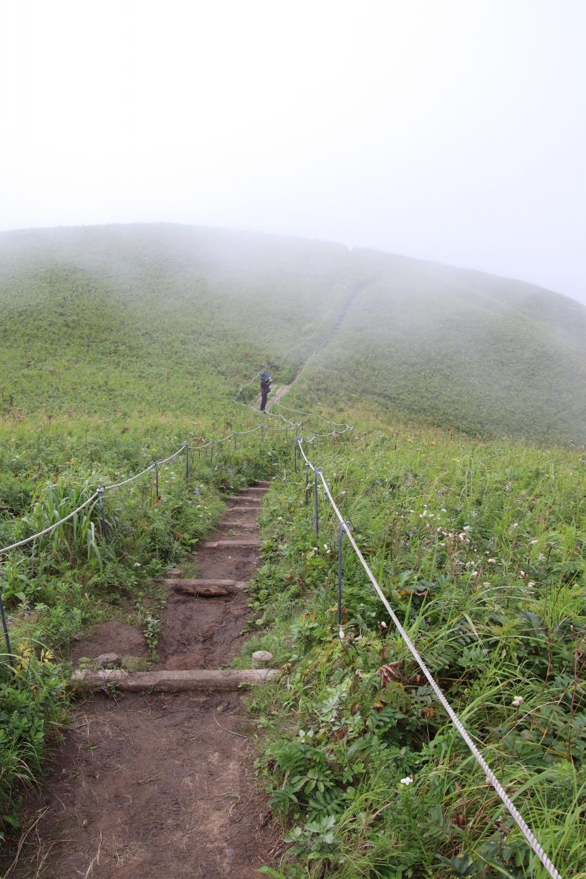 『夏の北海道 離島・道北から道央を巡る旅 その③最北の離島『花の島・礼文島』へ！』礼文島(北海道)の旅行記・ブログ by Brightonさん ...