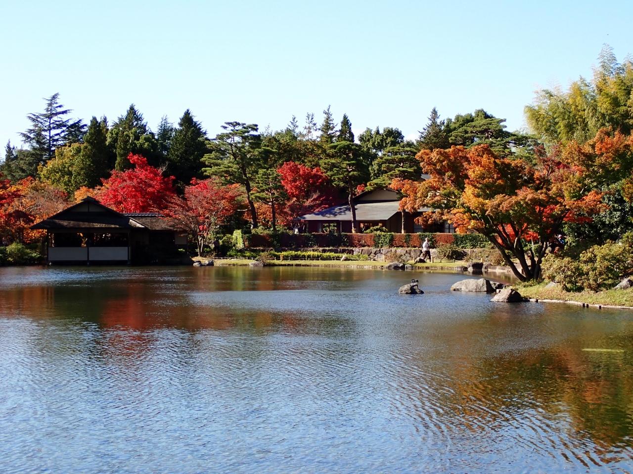 『錦秋の国営昭和記念公園へ行きました。』立川(東京)の旅行記・ブログ by しろくまクンクンさん【フォートラベル】