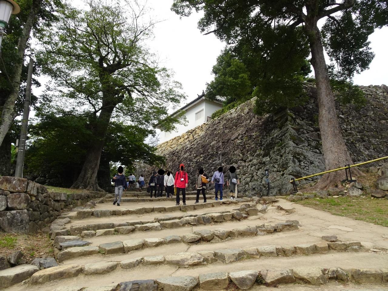 『滋賀県＆兵庫県へ！ 2024 ③ 国宝 彦根城へ！編』彦根(滋賀県)の旅行記・ブログ by sukecoさん【フォートラベル】