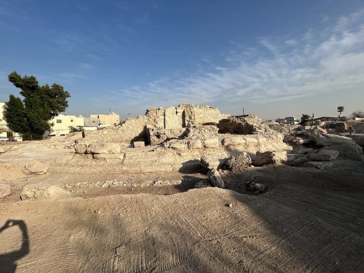 『行っても行かなくてもよい国：バーレーンへ～2日目・郊外観光の定番を訪ね歩く・生命の木♪～』マナーマ(バーレーン)の旅行記・ブログ by ...