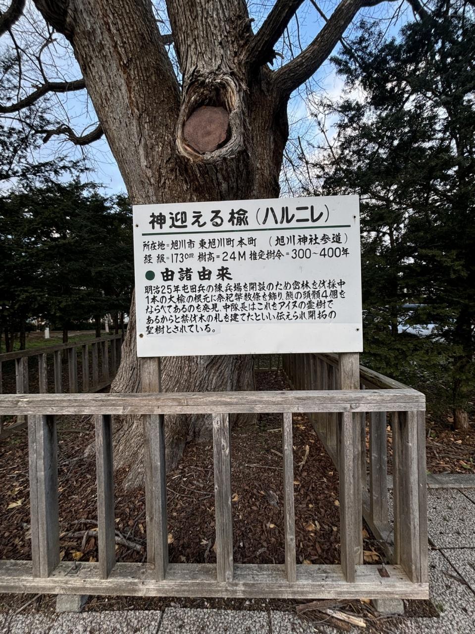 『北海道の旅 2024年11月 旭川 初日②』旭川(北海道)の旅行記・ブログ by tmcさん【フォートラベル】