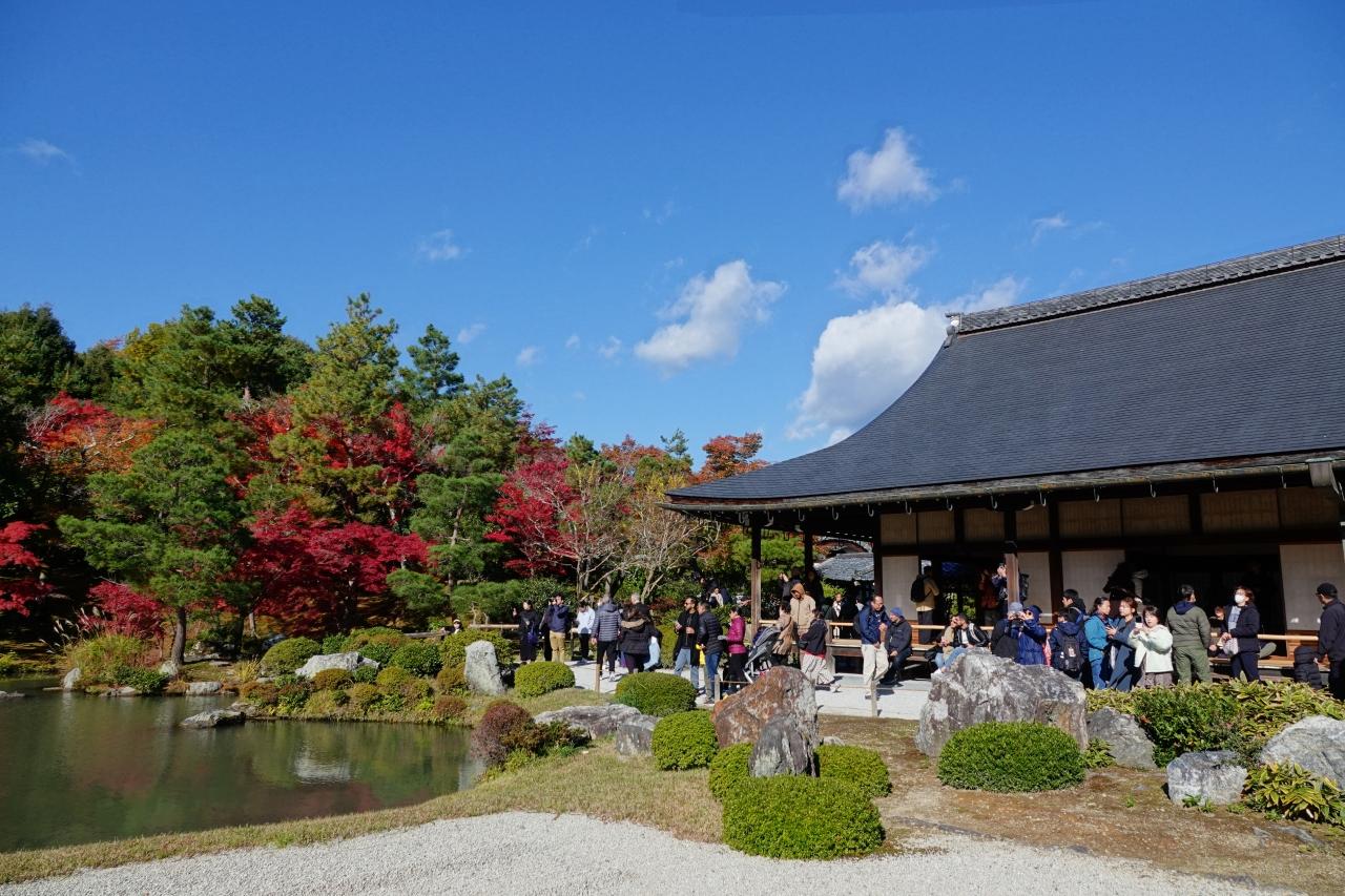『京都もみじ紀行2024（天龍寺・嵐山・東福寺の紅葉） 京都観光バスツアー』嵐山・嵯峨野・太秦・桂(京都)の旅行記・ブログ by Yasuさん ...