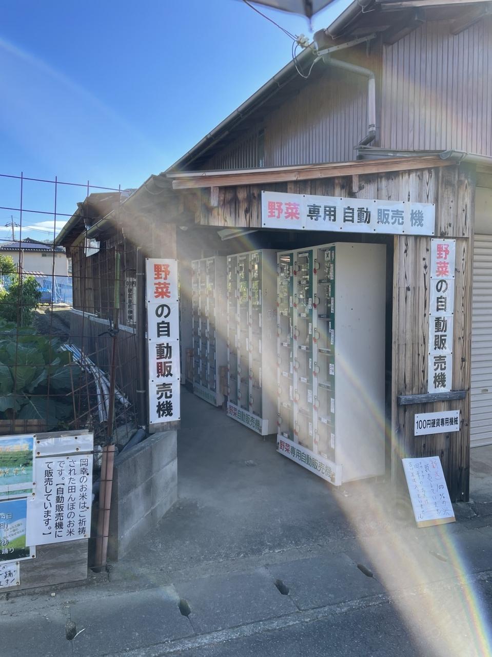 『紅葉巡り2024① ひたすら歩いて紅葉満喫』嵐山・嵯峨野・太秦・桂(京都)の旅行記・ブログ by ちかさん【フォートラベル】