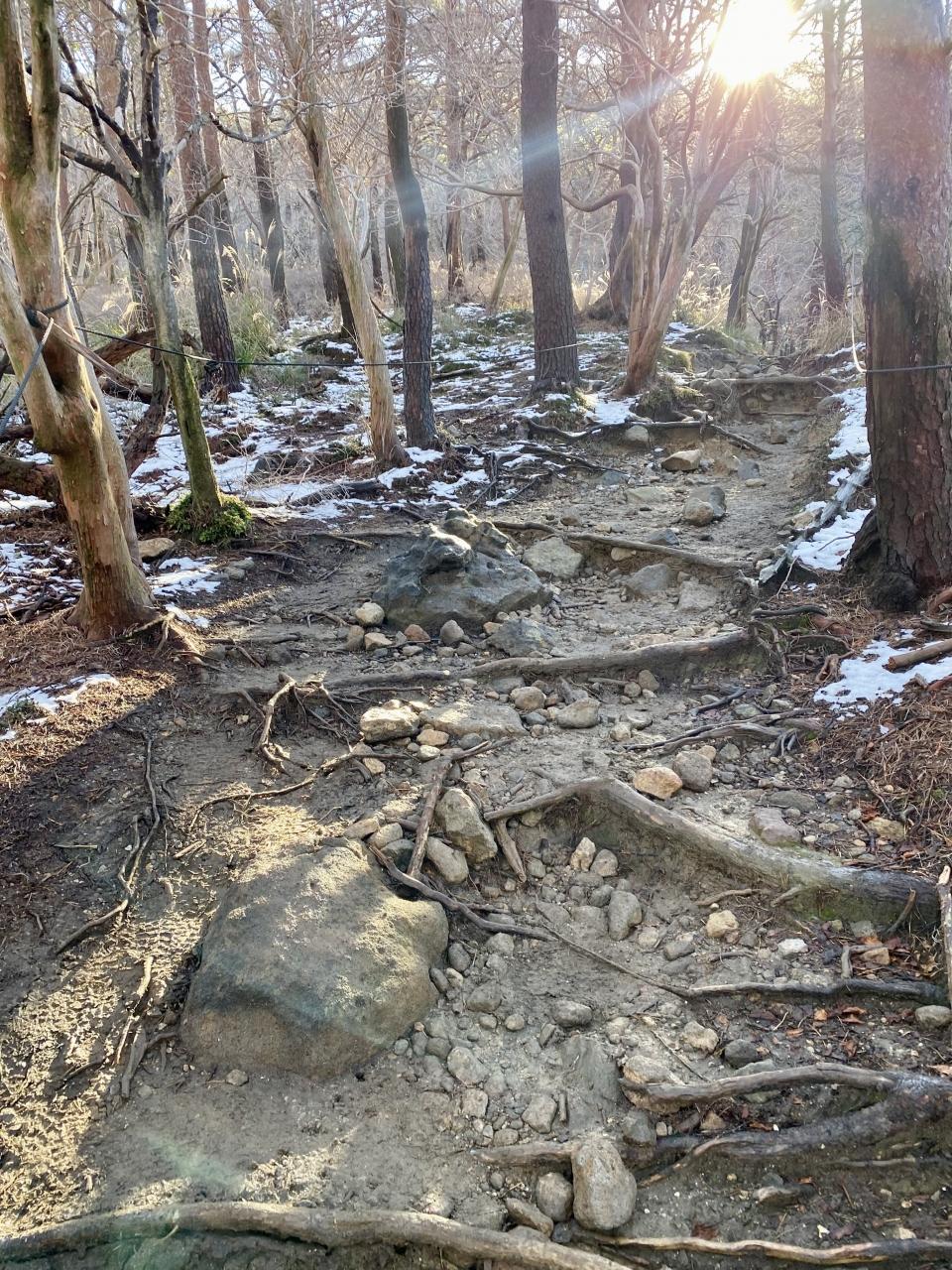 『南国で雪山登山 韓国岳の初冠雪 2024.12.1』霧島温泉郷(鹿児島県)の旅行記・ブログ by toroppeさん【フォートラベル】