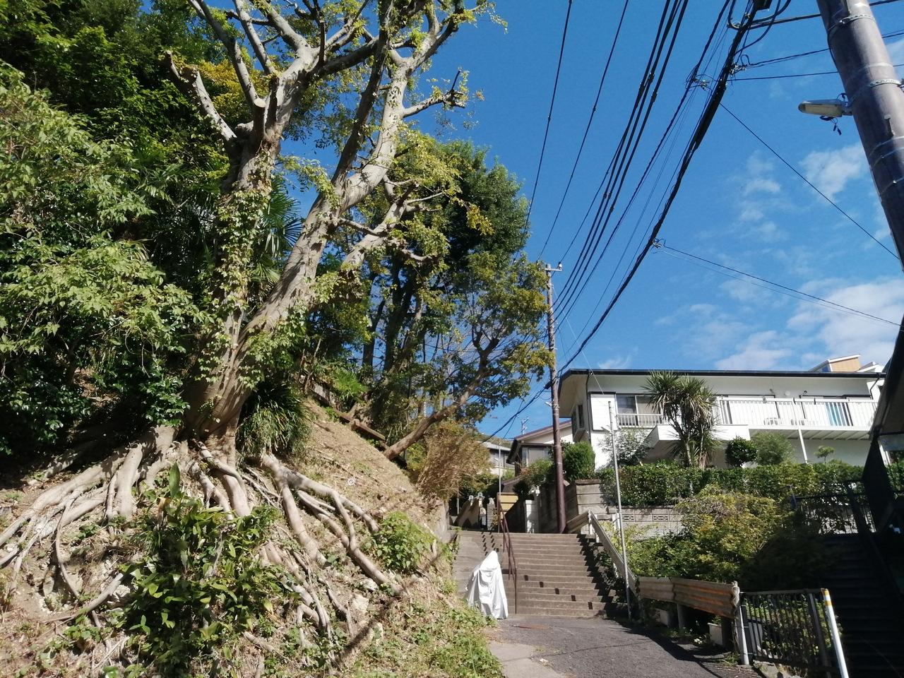 旅友訪ねて…東京へ 7】江ノ電、湘南の海を満喫しながらウォーキング』神奈川県の旅行記・ブログ by toshibaa45さん【フォートラベル】