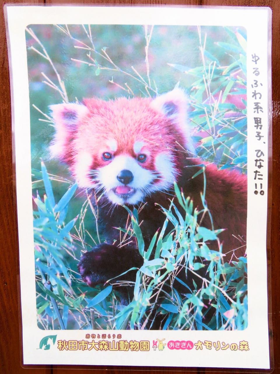 『前倒し秋田の大森山動物園遠征2024（2）晩秋の園内いろいろ～ビジネスセンターのオモリン日記やミルヴェ館のいしかわ動物園とのコラボ展示など ...
