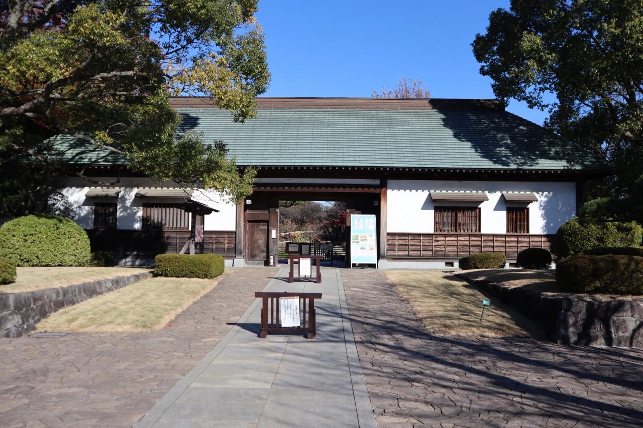 『紅葉の越谷総合公園と花田苑☆2024/12/06』越谷(埼玉県)の旅行記・ブログ by 杏仁豆腐さん【フォートラベル】