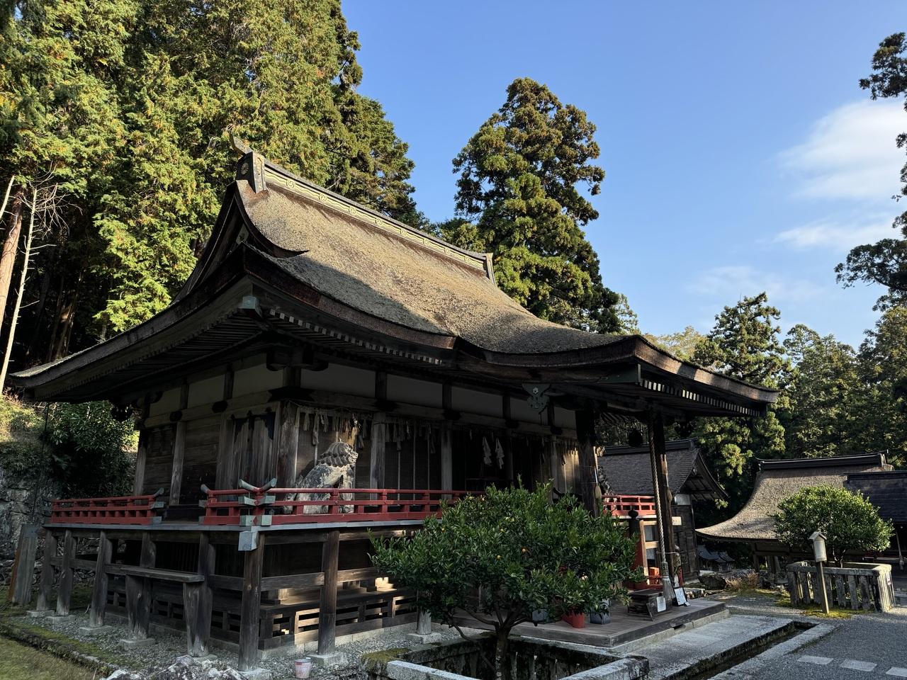 『秋模様の『鯖街道』を辿って・・冬の美味しいものも食べる旅 ★滋賀の紅葉編★ ＊おまけの大阪城公園＊』滋賀県の旅行記・ブログ by yoko ...