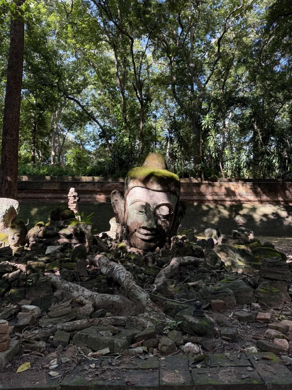 『Days of Chiang Mai: Day 7～2024年11月 チェンマイ・ステイ～』チェンマイ(タイ)の旅行記・ブログ by てぃび ...