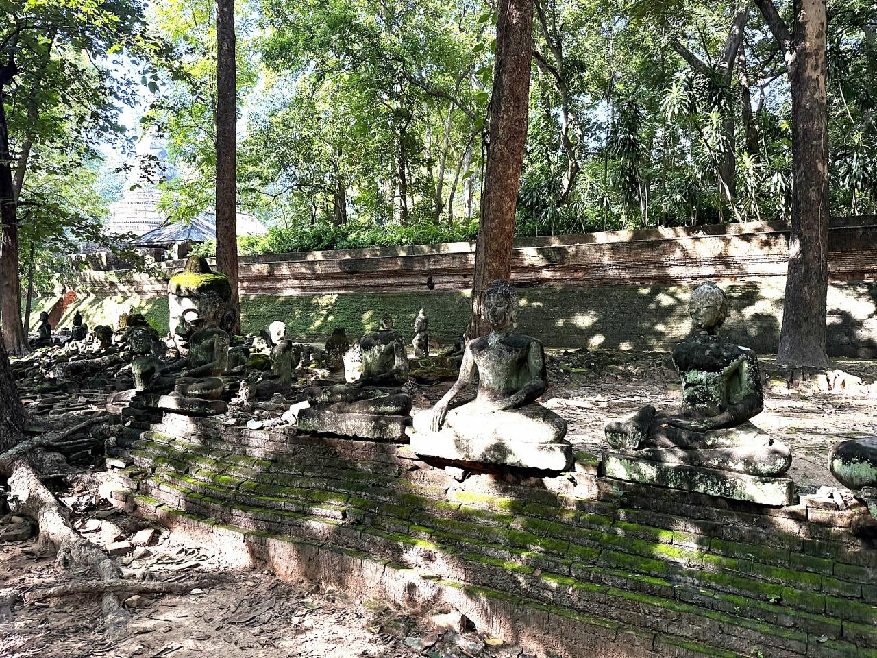 『Days of Chiang Mai: Day 7～2024年11月 チェンマイ・ステイ～』チェンマイ(タイ)の旅行記・ブログ by てぃび ...