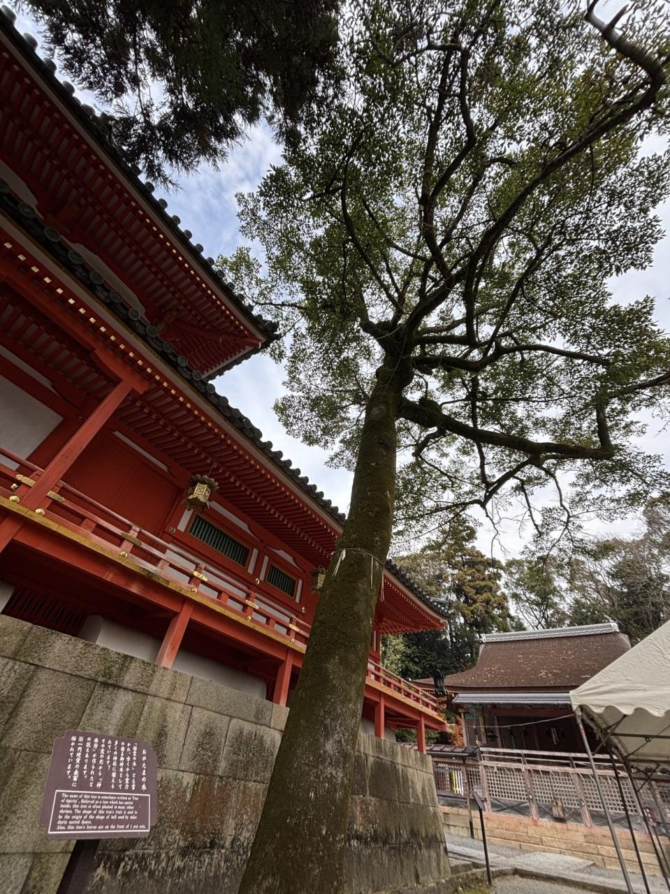 『成田山不動尊と、初詣準備中の石清水八幡宮を参拝。』八幡・城陽(京都)の旅行記・ブログ by chemireさん【フォートラベル】
