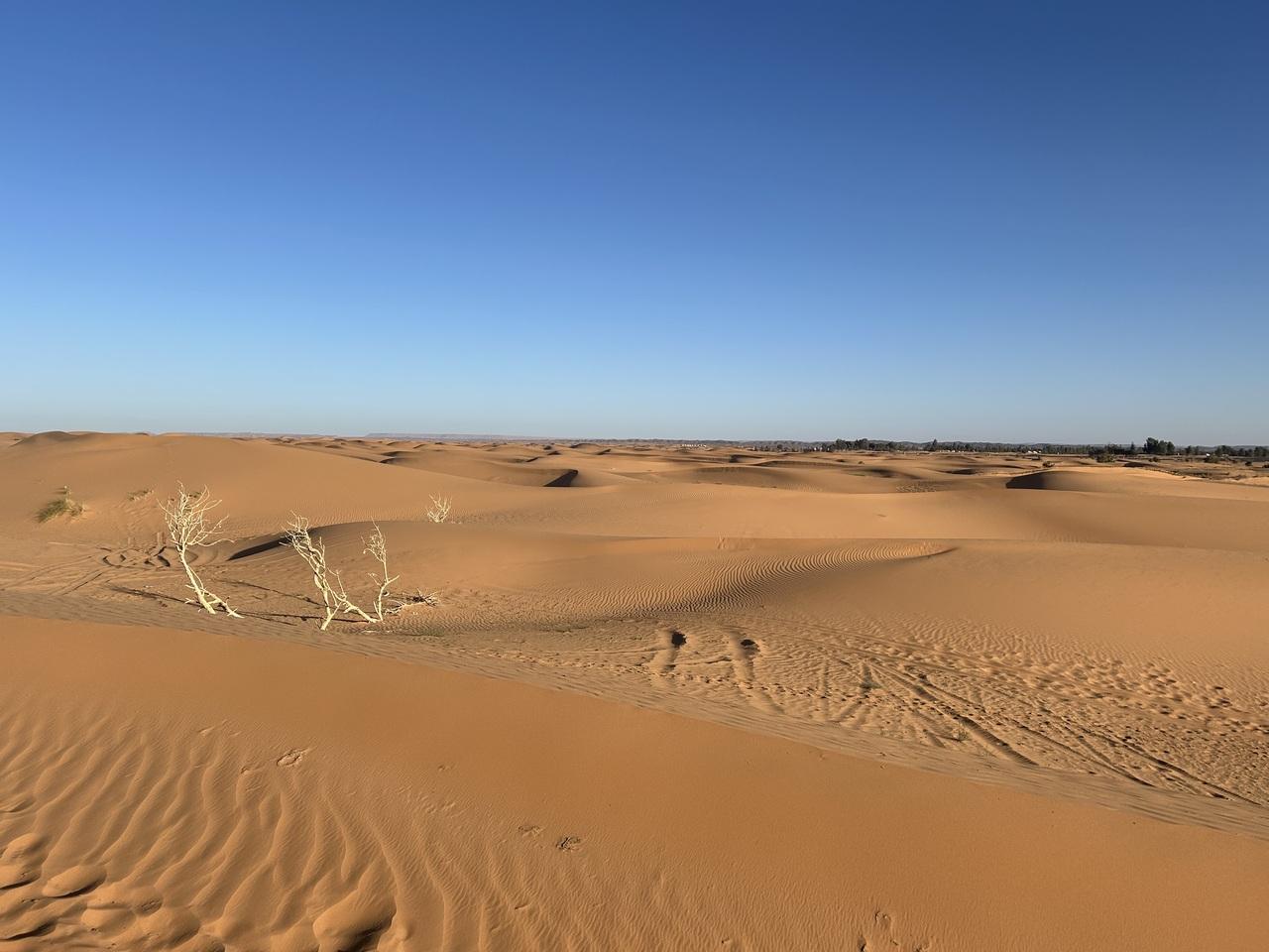 『2024-2025年末年始のモロッコ旅④(サハラ砂漠からの帰り道)』その他の観光地(モロッコ)の旅行記・ブログ by しゃのあーるさん ...