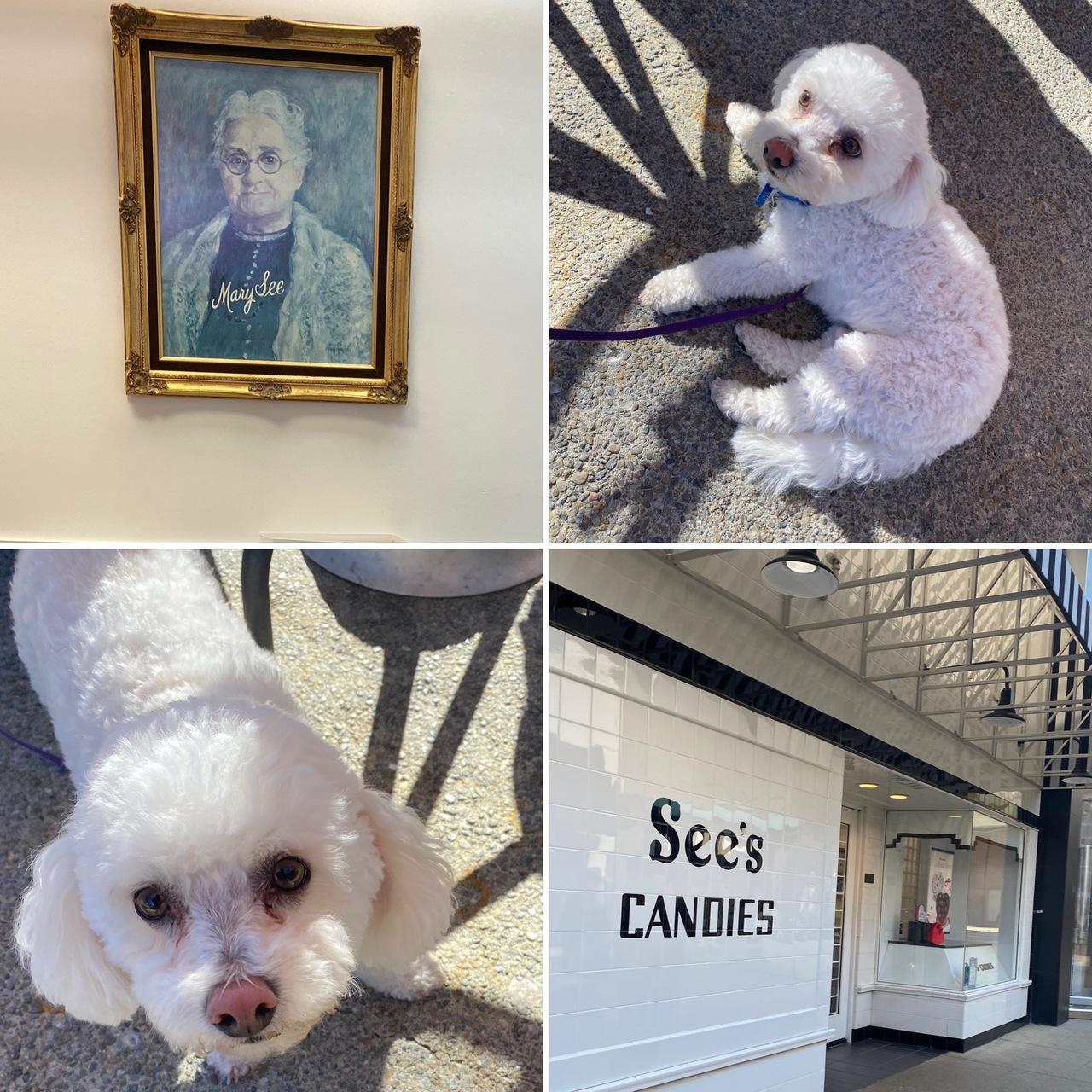 『超弾丸wオアフ1泊の気分転換だし予算重視だし！+領事館パスポートピックアップ 笑 1/2025』オアフ島(ハワイ)の旅行記・ブログ by ...