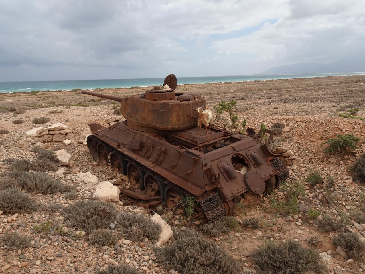 『202412 ソコトラ島（4）～3日目～』その他の都市(イエメン)の旅行記・ブログ by どらみさん【フォートラベル】