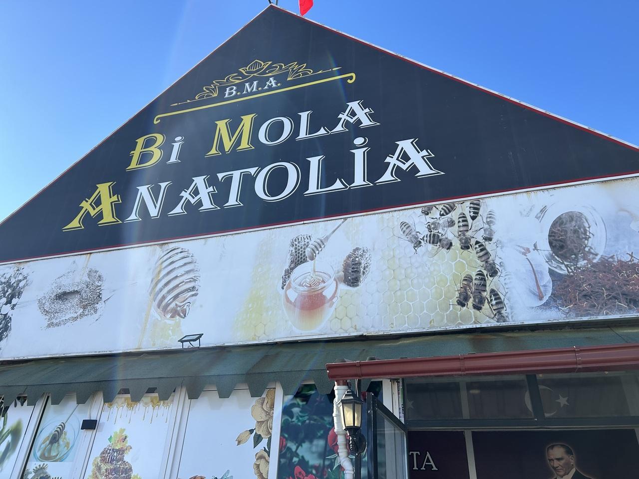 『2025年1月☆エジプト・トルコ_6』トルコの旅行記・ブログ by mapiさん【フォートラベル】